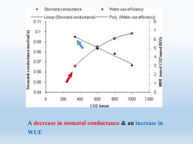 Water use efficiency in plants | PPTX | Agriculture | Industries