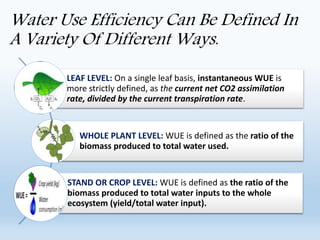 Water use efficiency in plants | PPTX