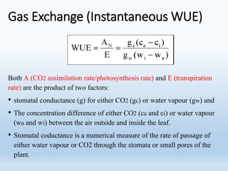 Water use efficiency in plants | PPTX