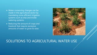 Water Use & Management in California | PPTX