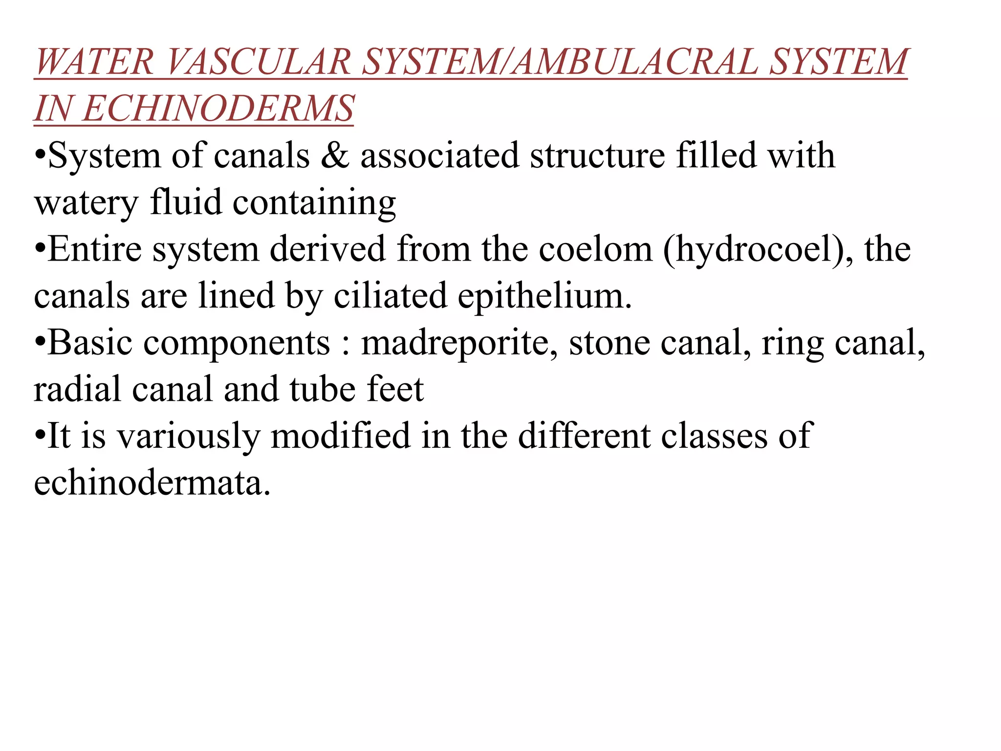 WATER VASCULAR SYSTEM.pptx