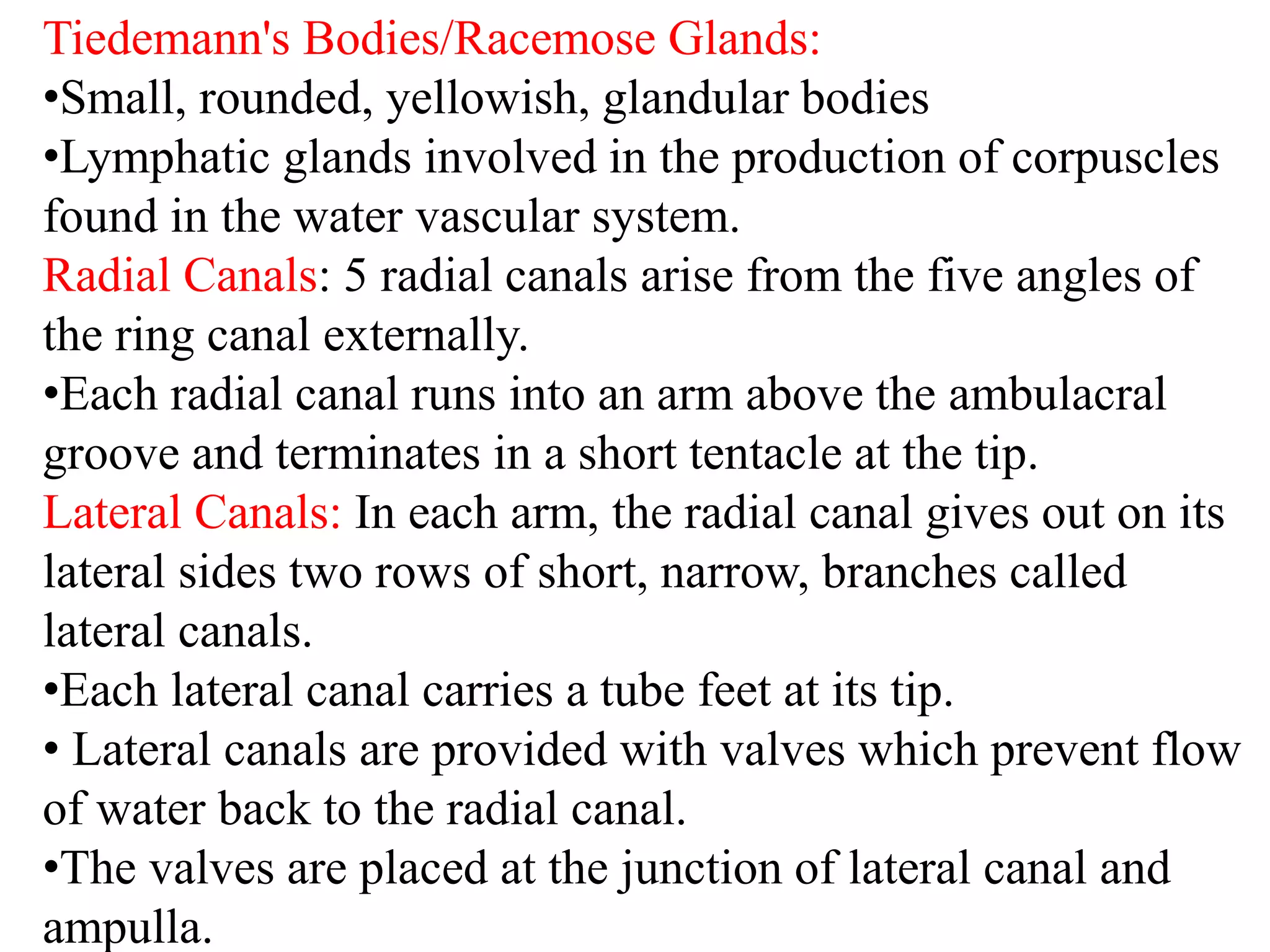 WATER VASCULAR SYSTEM.pptx