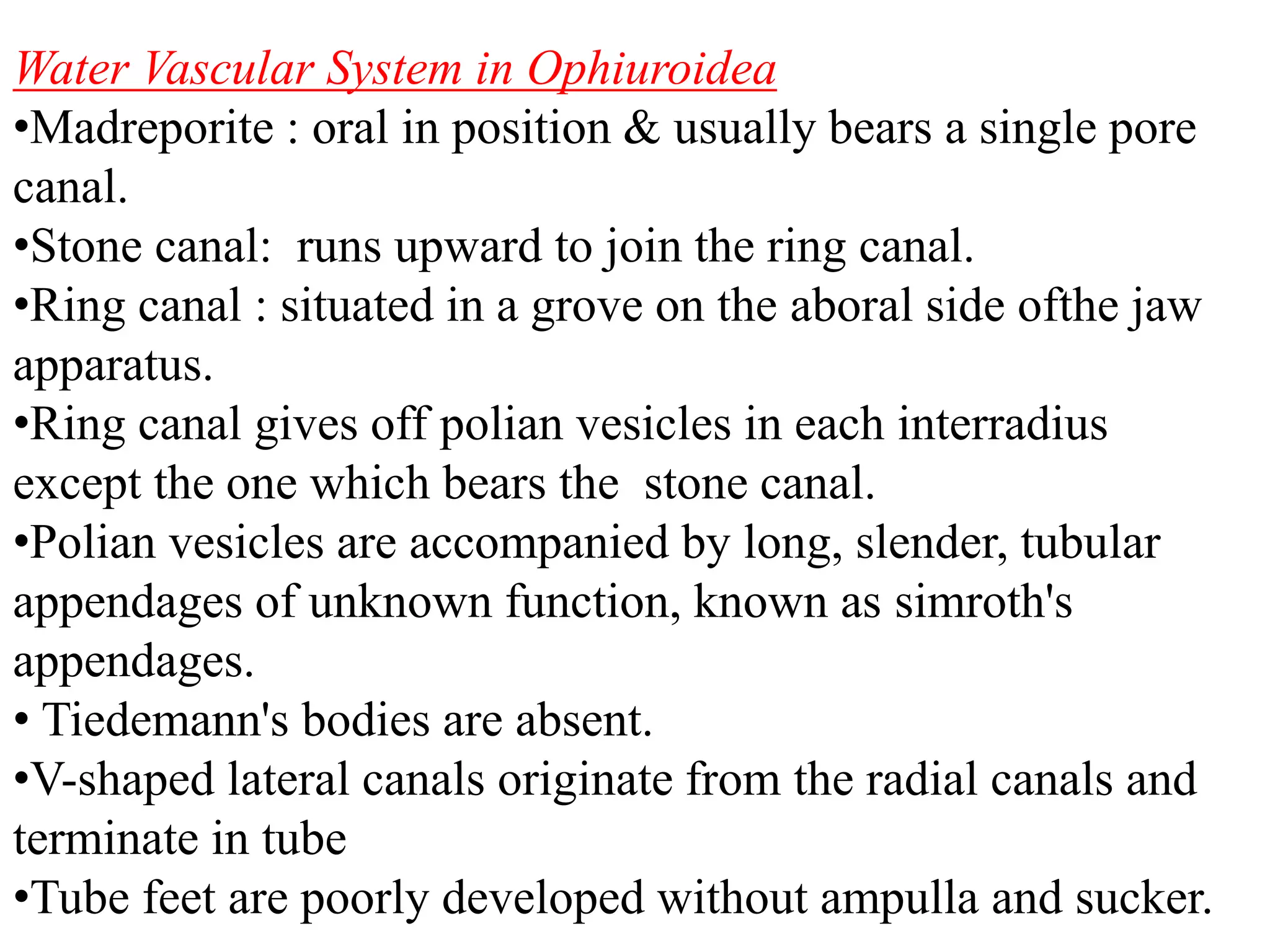 WATER VASCULAR SYSTEM.pptx