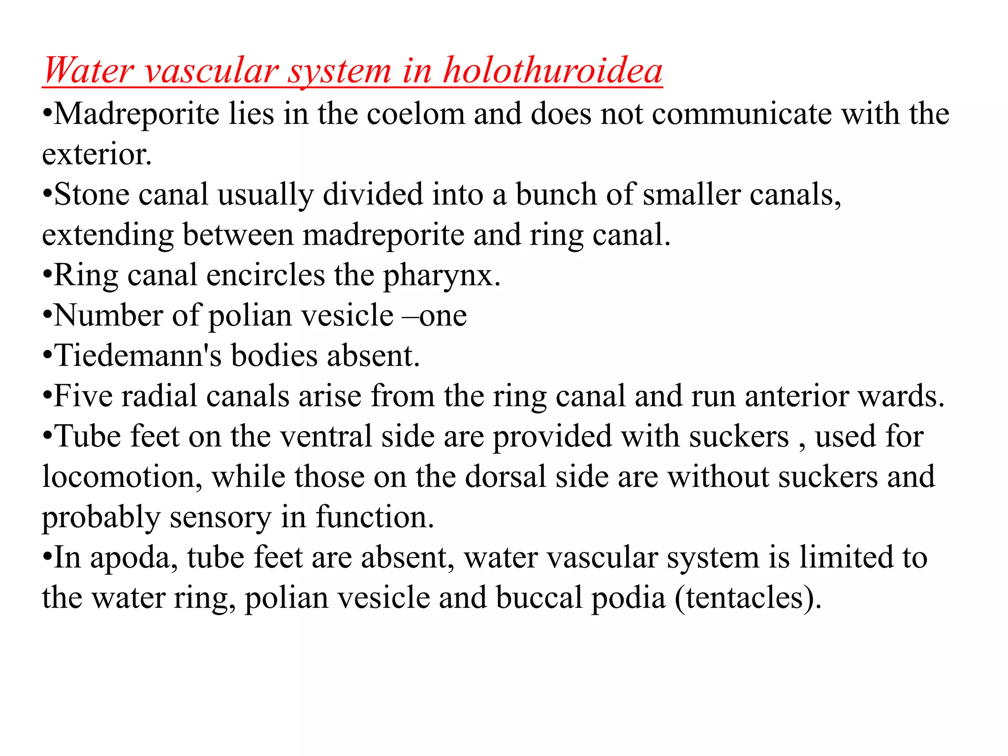 WATER VASCULAR SYSTEM.pptx