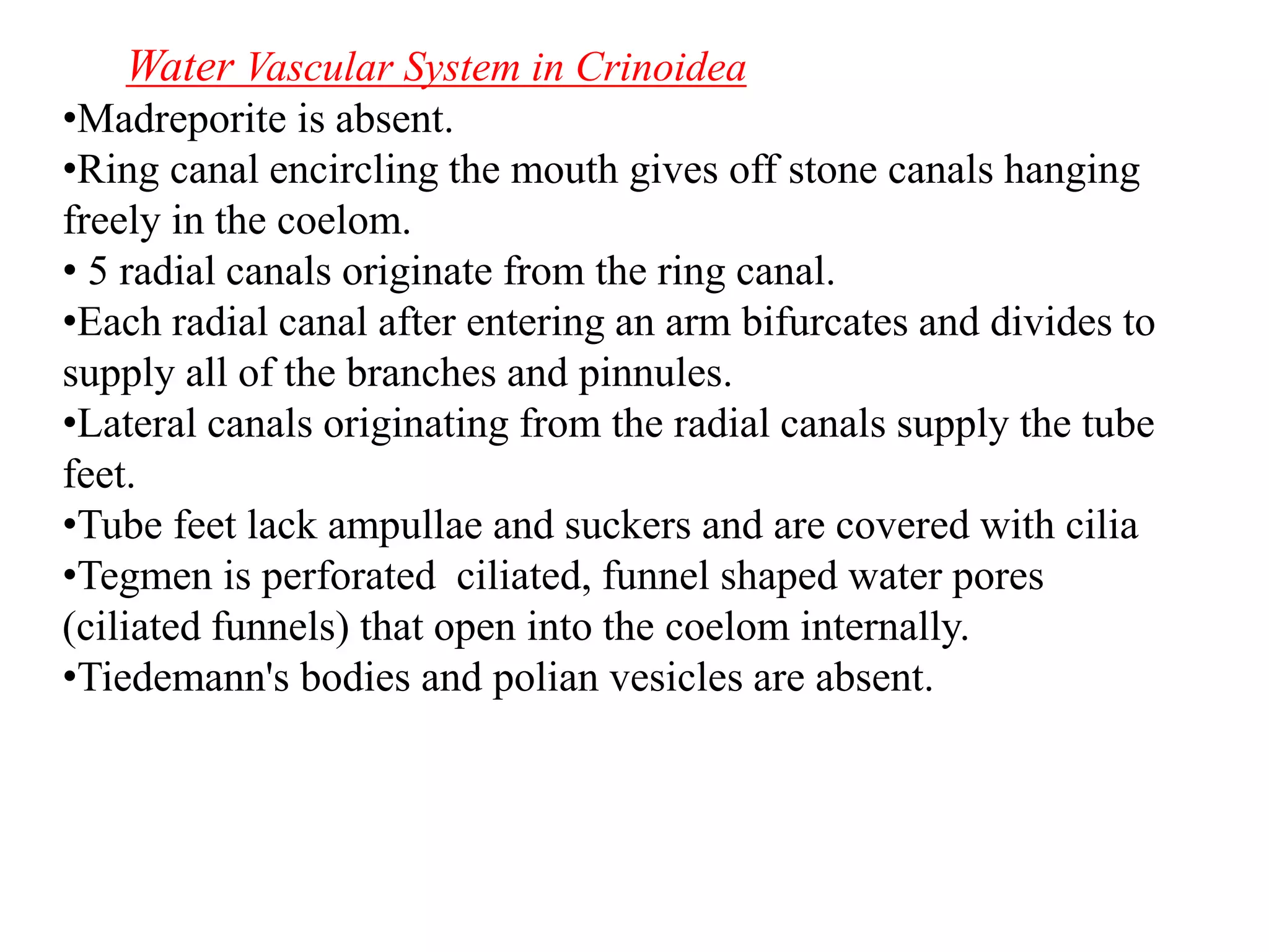 WATER VASCULAR SYSTEM.pptx