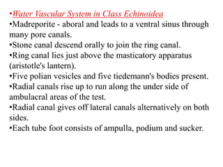 WATER VASCULAR SYSTEM.pptx