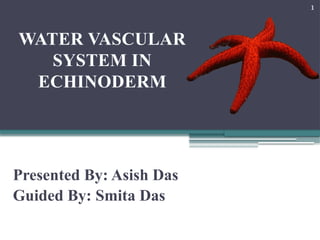 WATER VASCULAR SYSTEM IN ECHINODERMATA-1.pptx