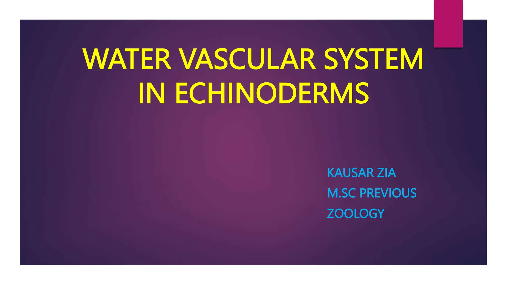 Water vascular system in echinoderms by Kausar Zia M.Sc. I year.pptx