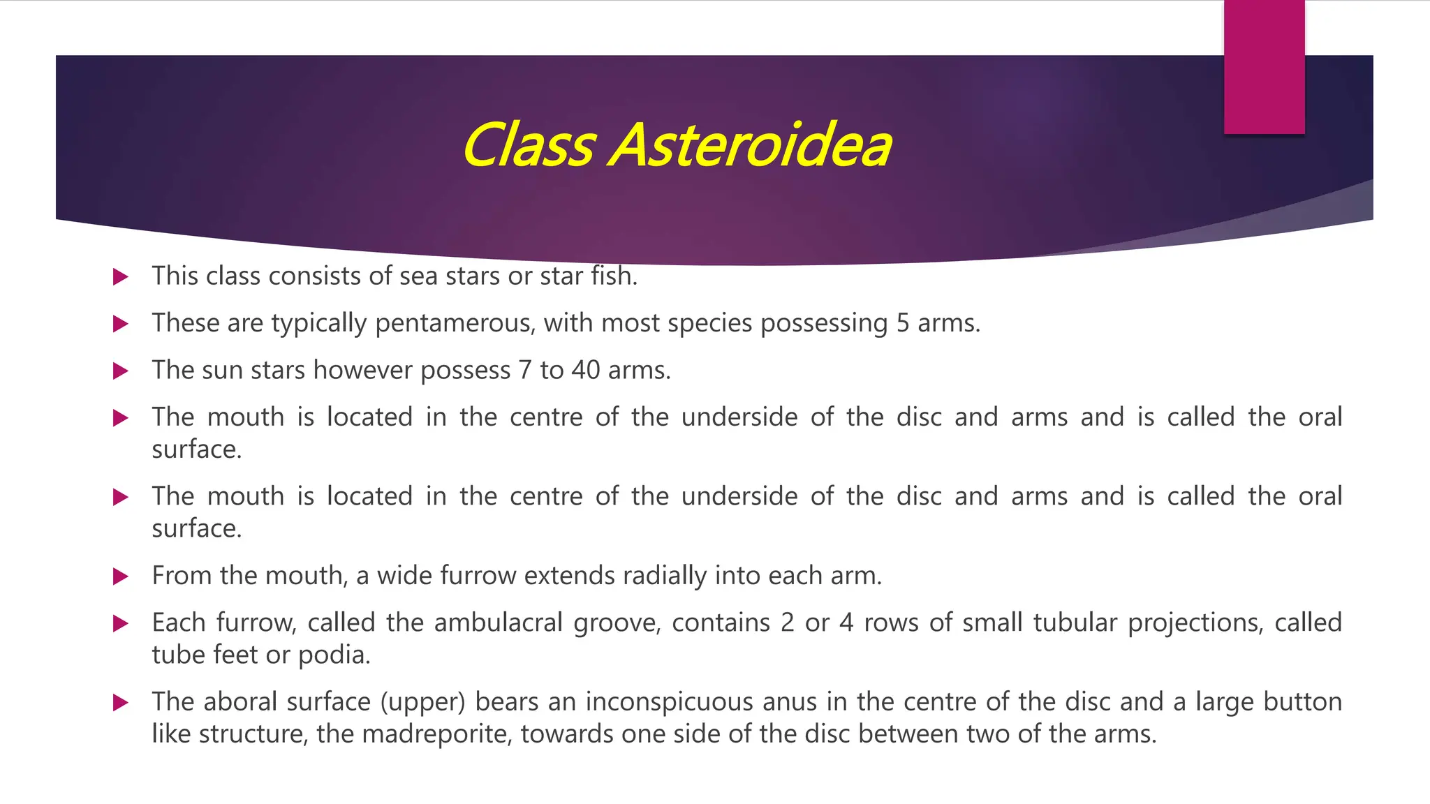 Water vascular system in echinoderms by Kausar Zia M.Sc. I year.pptx
