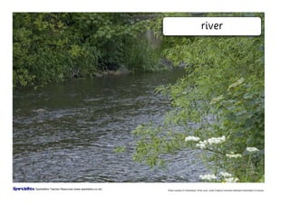 Water: vocabulary | PDF