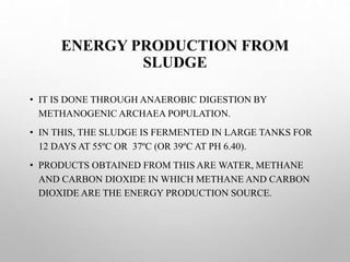 PROJECT ON WASTE WATER TREATMENT AND ENERGY PRODUCTION FROM SLUDGE AND ...
