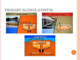 Waste Water Treatment | PPT