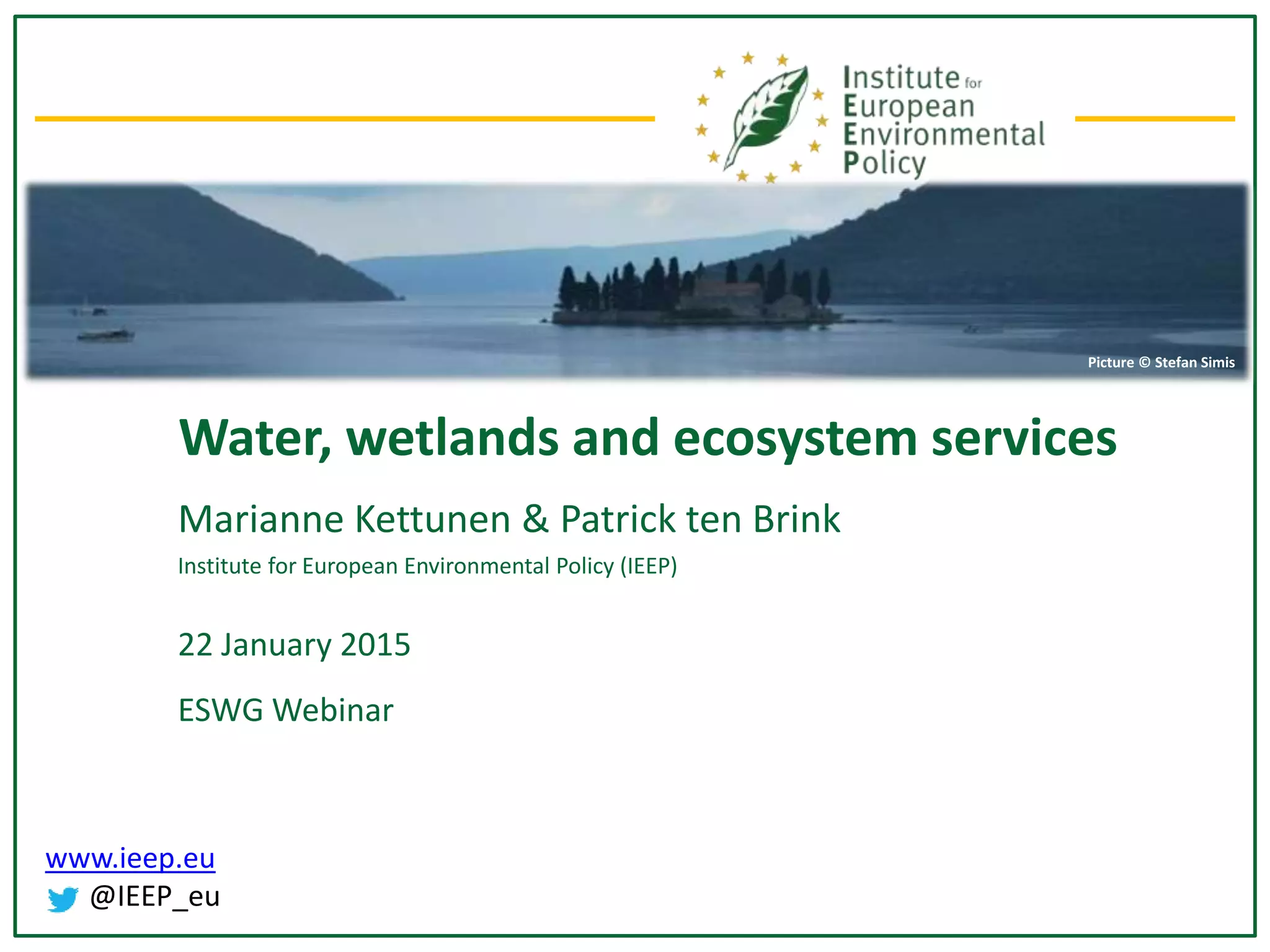 Water wetlands ecosystem services | PPTX