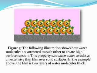 Water | PPTX