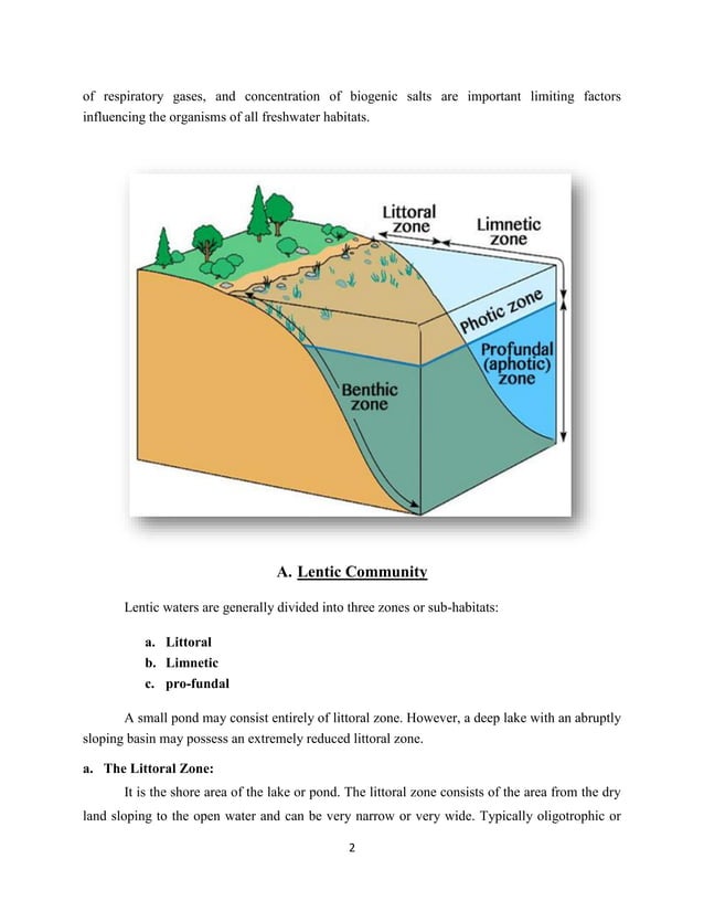 Water zonation | PDF