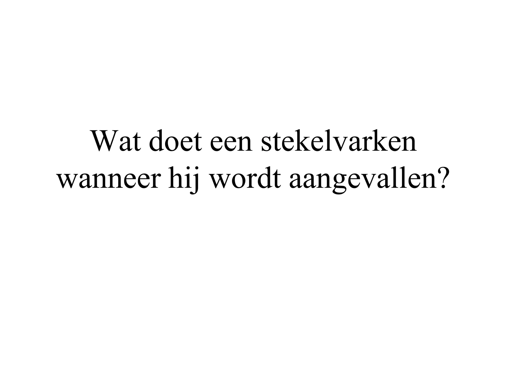 Wat gebeurt er wanneer | PPSX