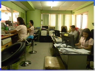 National Statistics Office: OJT presentation | PPT