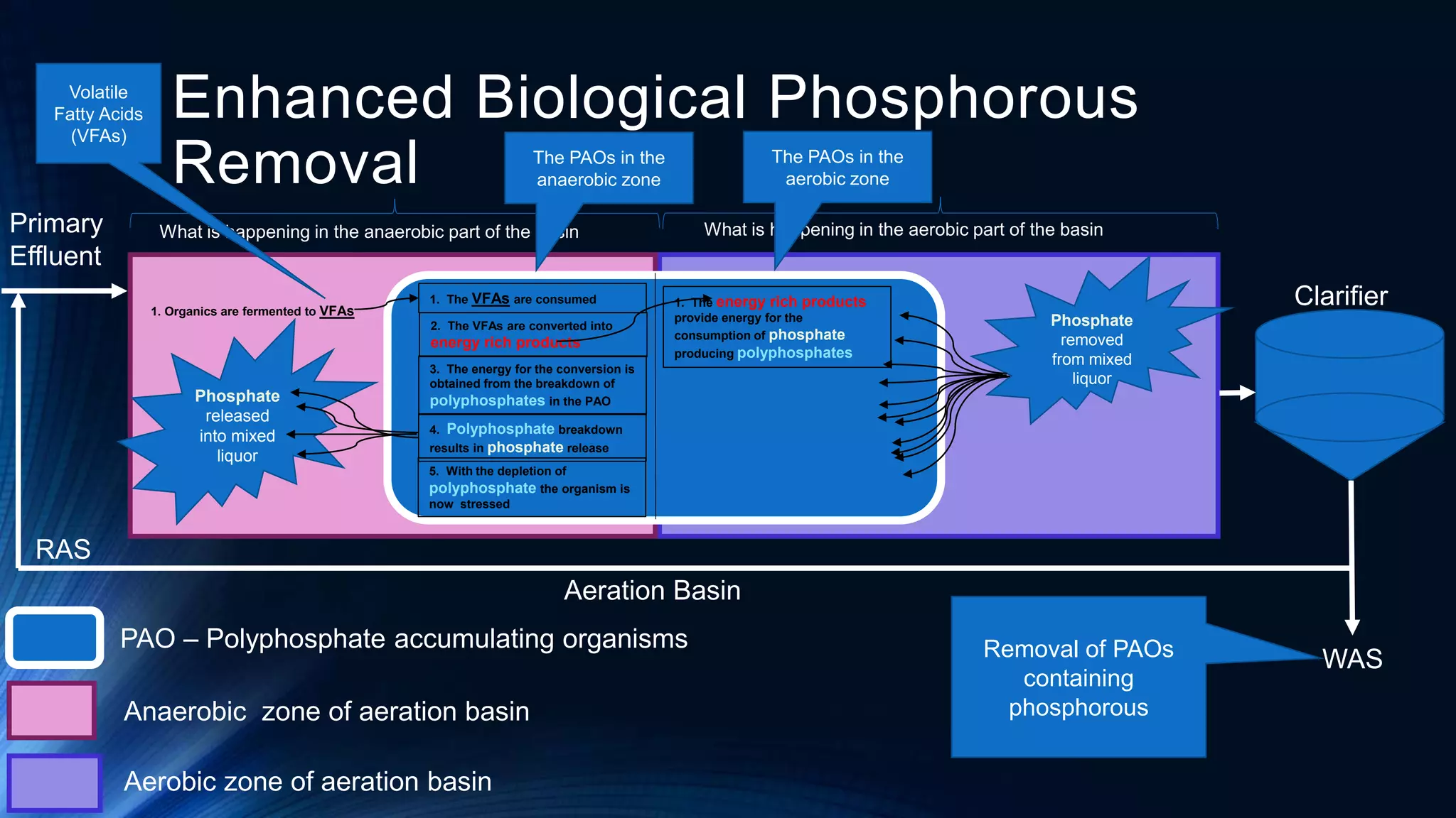 Nutrient Removal - Biological Phosphorous Removal | PPT