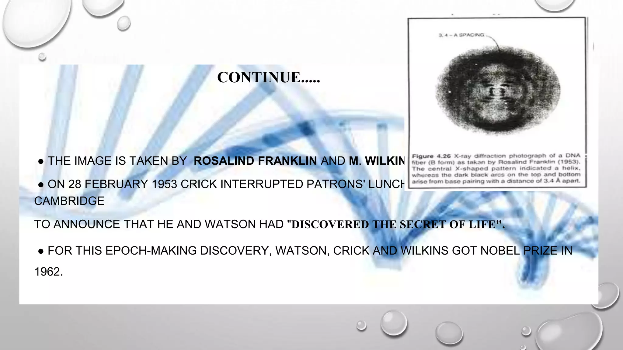 Watson and crick model of dna | PPTX