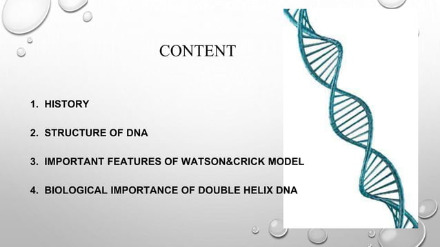 Watson and crick model of dna | PPTX