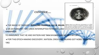 Watson and crick model of dna | PPTX
