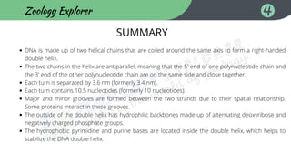 Watson and Crick model | PDF