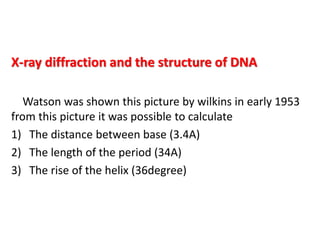 Watson and crick model of dna | PPTX