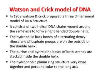Watson and crick model of dna | PPTX