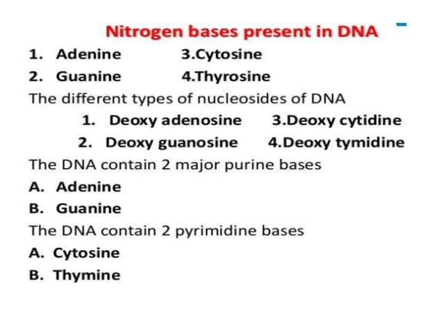 watson and crick model of DNA(molecular biology) | PPTX | Chemistry ...