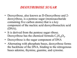 watson and crick model of DNA(molecular biology) | PPTX
