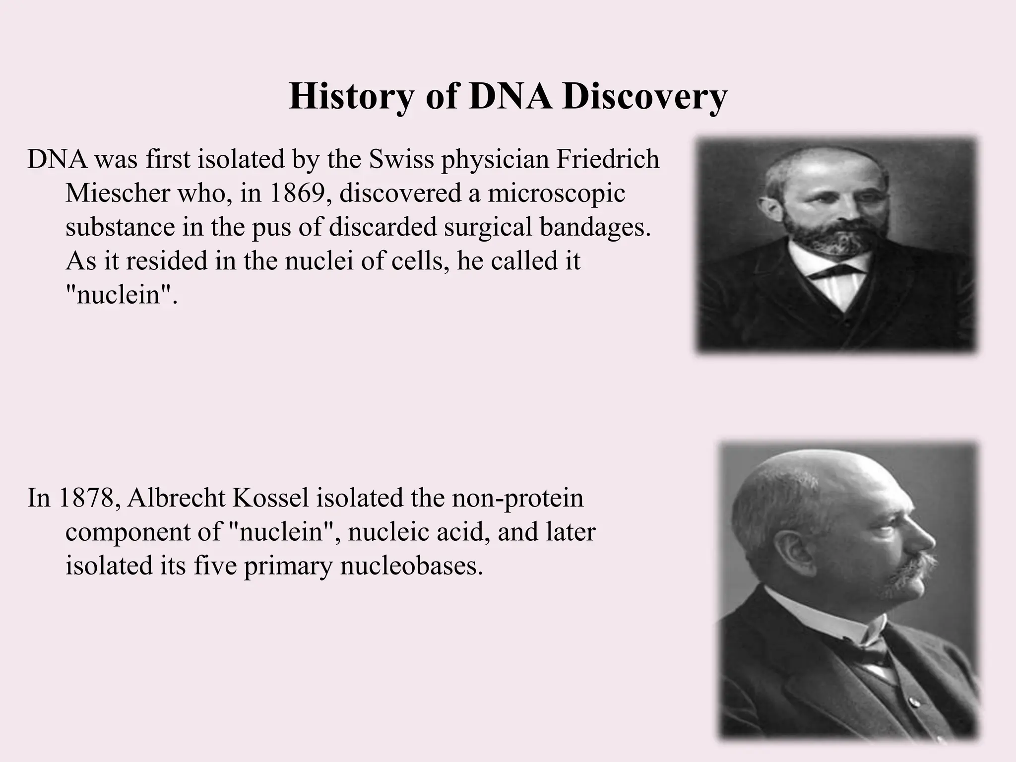 Watson and Crick DNA model, Nucleic acids, Nucleotides, Nucleosides ...
