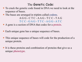 Watson and Crick DNA model, Nucleic acids, Nucleotides, Nucleosides ...