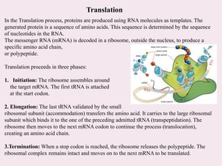 Watson and Crick DNA model, Nucleic acids, Nucleotides, Nucleosides ...