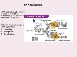 Watson and Crick DNA model, Nucleic acids, Nucleotides, Nucleosides ...