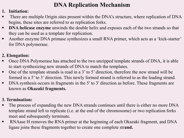 Watson and Crick DNA model, Nucleic acids, Nucleotides, Nucleosides ...