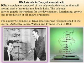 Watson and Crick DNA model, Nucleic acids, Nucleotides, Nucleosides ...