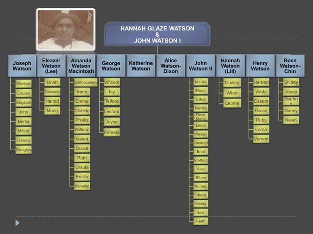 Watson Family Tree Presentation 2 | PPTX