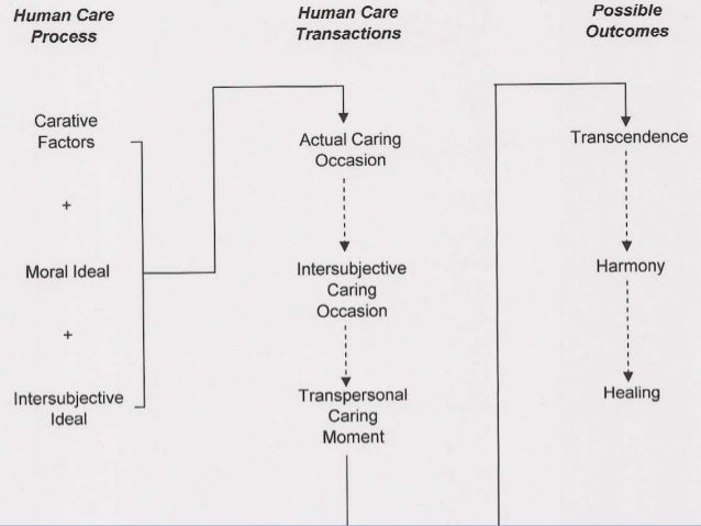 [DIAGRAM] Jean Watson Model Diagram - WIRINGSCHEMA.COM