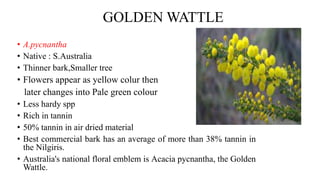 wattle production technology.pptx