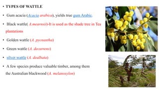 wattle production technology.pptx | Woodworking | Arts and Crafts