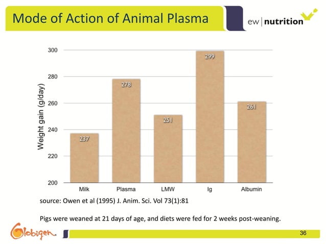 VIV Asia 2013: Immunoglobilins in piglet nutrition, CropTech-FeedTech ...