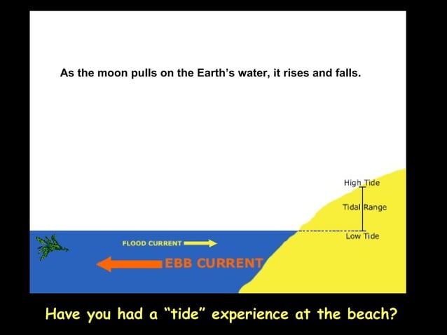 Wave currents tides | PPT