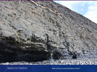 Wave cut platform Kimmeridge | PPT