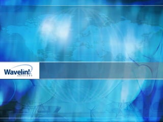 Wavelink Presentation(Updated) | PDF