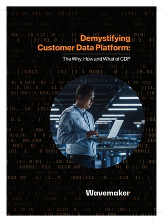 Wavemaker CDP Report | PDF