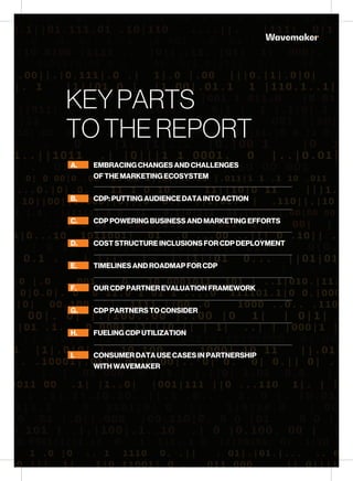 Wavemaker CDP Report | PDF