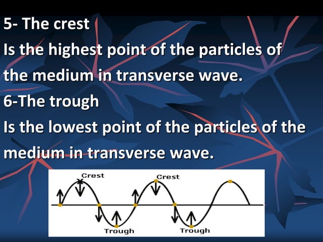 Wave Motion.PPT