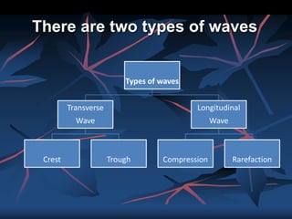 Wave Motion.PPT