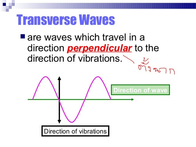 Wave nature (Basic science)