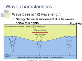Waves and Water Dynamics